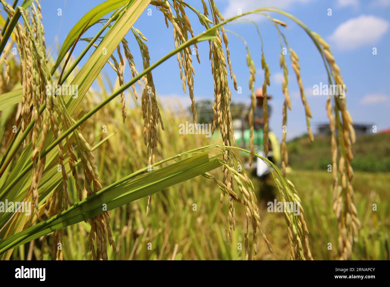 Shaoyang city hi-res stock photography and images - Alamy