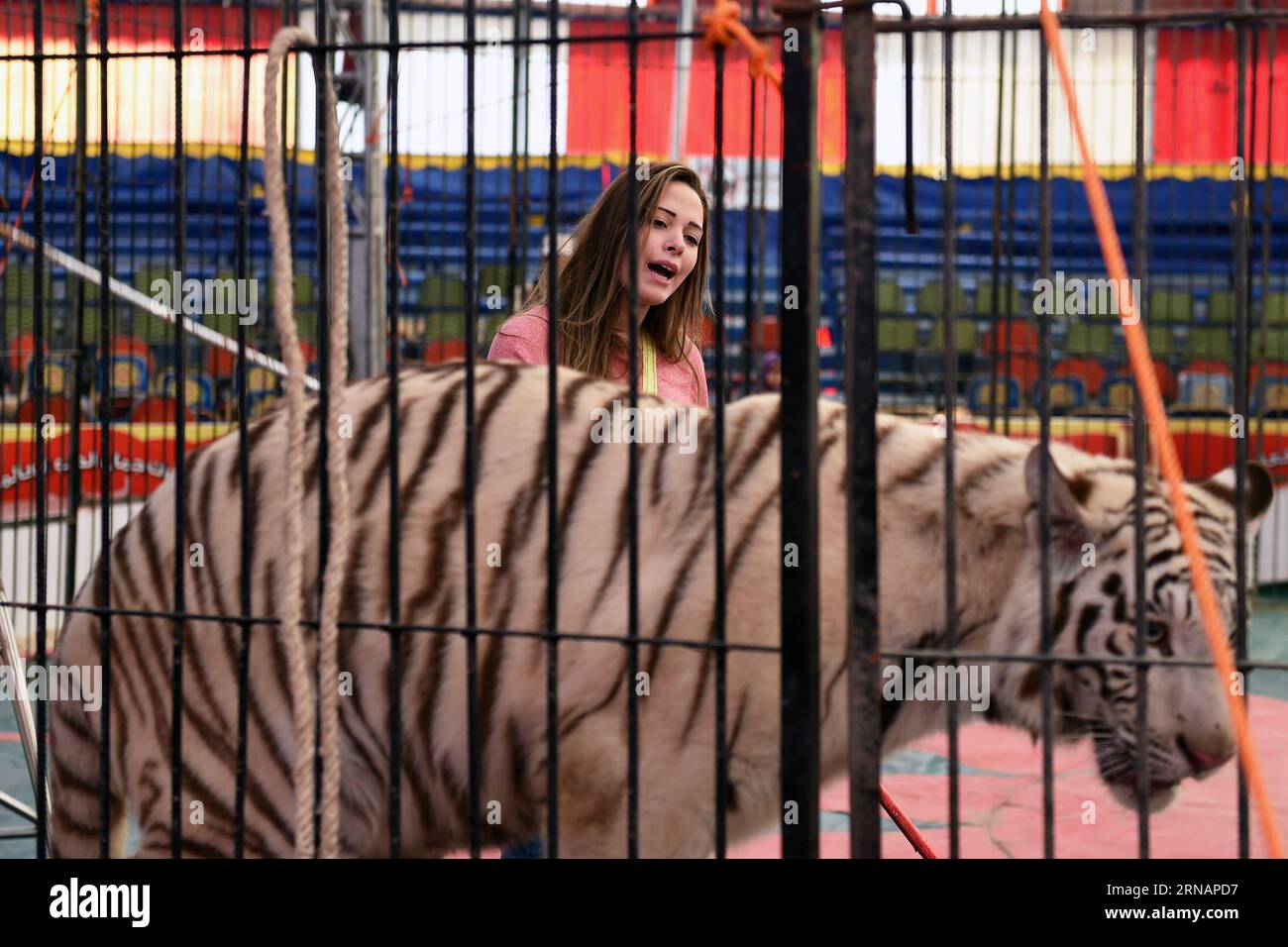 Female tamer hi-res stock photography and images - Alamy