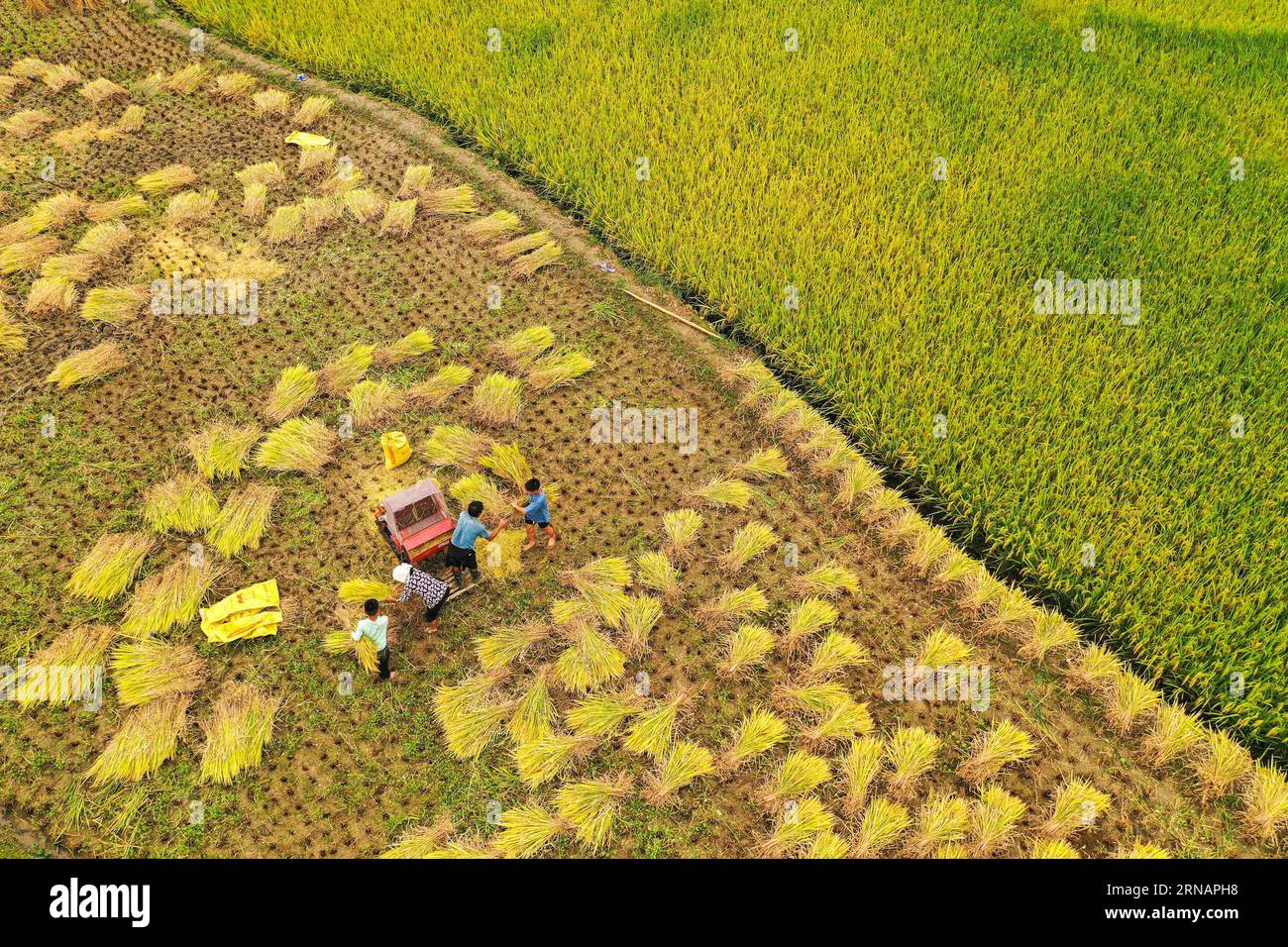 Beijing, China. 31st Aug, 2023. This aerial photo taken on Aug. 31 ...