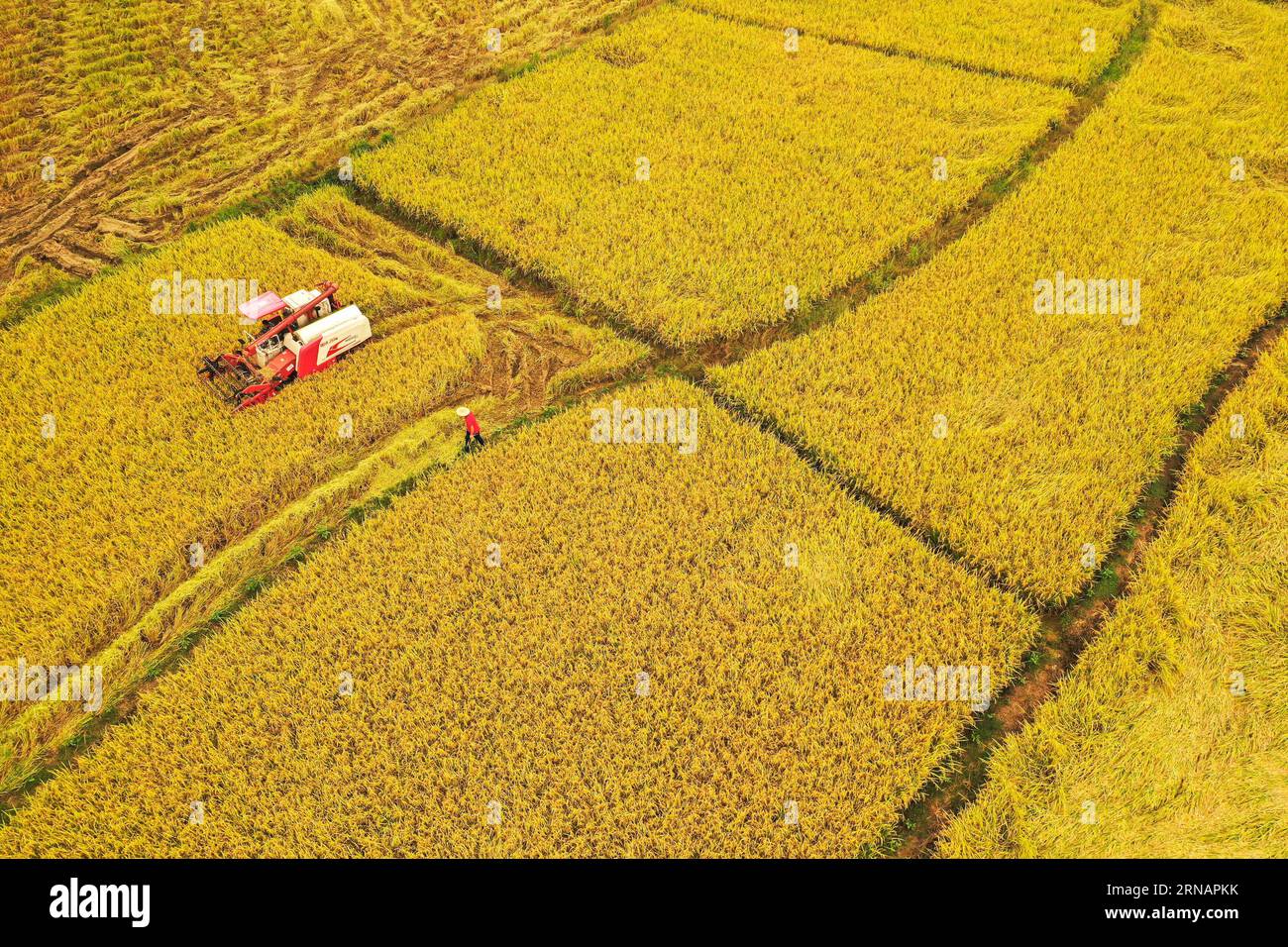 Beijing, China. 31st Aug, 2023. This aerial photo taken on Aug. 31 ...