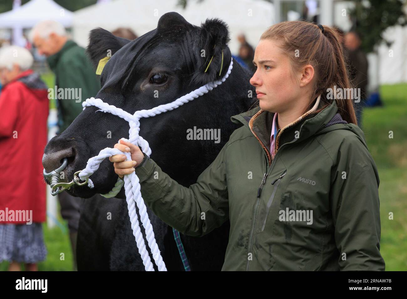 Weedon Park, Aylesbury, Buckinghamshire. UK. 31st August 2023 A ...