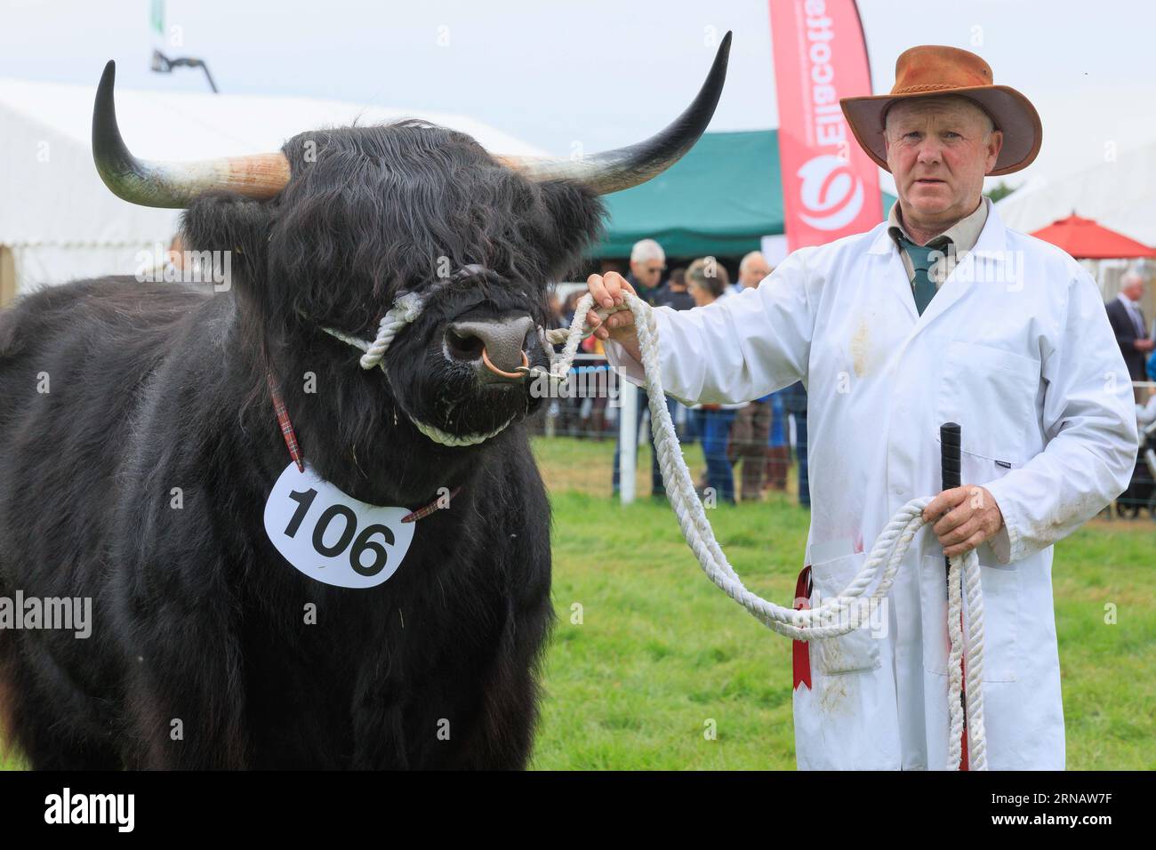 Weedon Park, Aylesbury, Buckinghamshire. UK. 31st August 2023 A ...