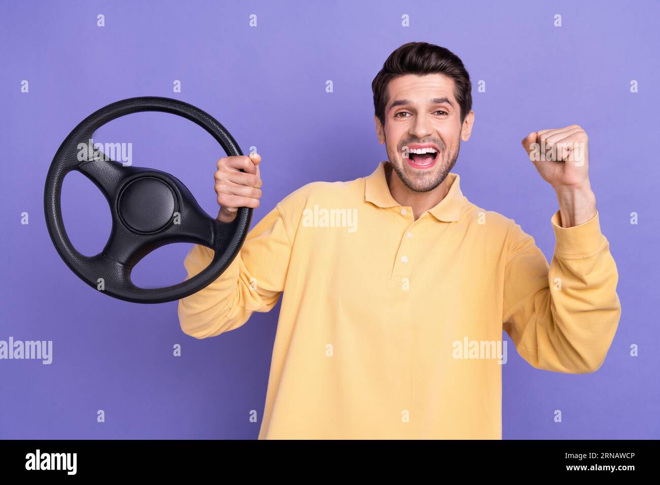 Portrait of delighted cheerful man arm hold wheel raise fist ...