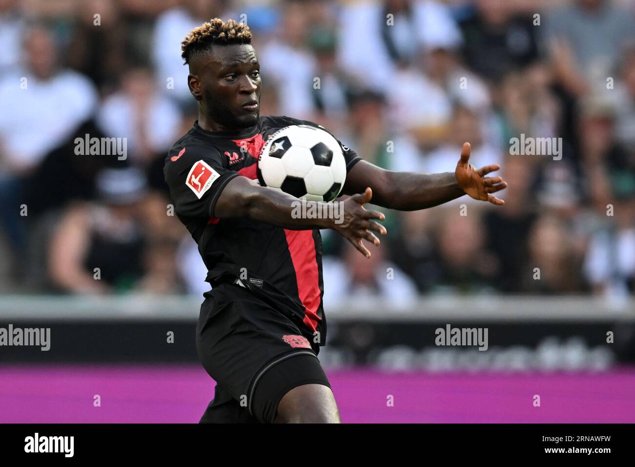 Victor boniface leverkusen august 2023 hi-res stock photography and ...