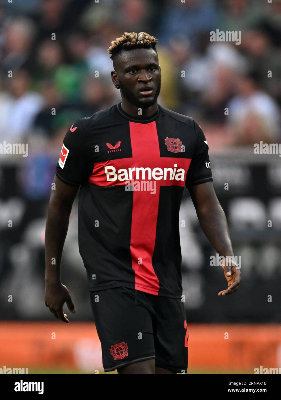 Victor boniface leverkusen august 2023 hi-res stock photography and ...