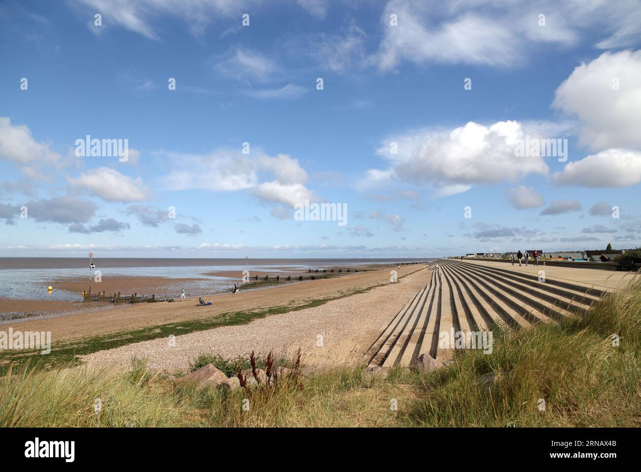 Heacham, UK. 30th Aug, 2023. Heacham beach in Norfolk, which DEFRA ...