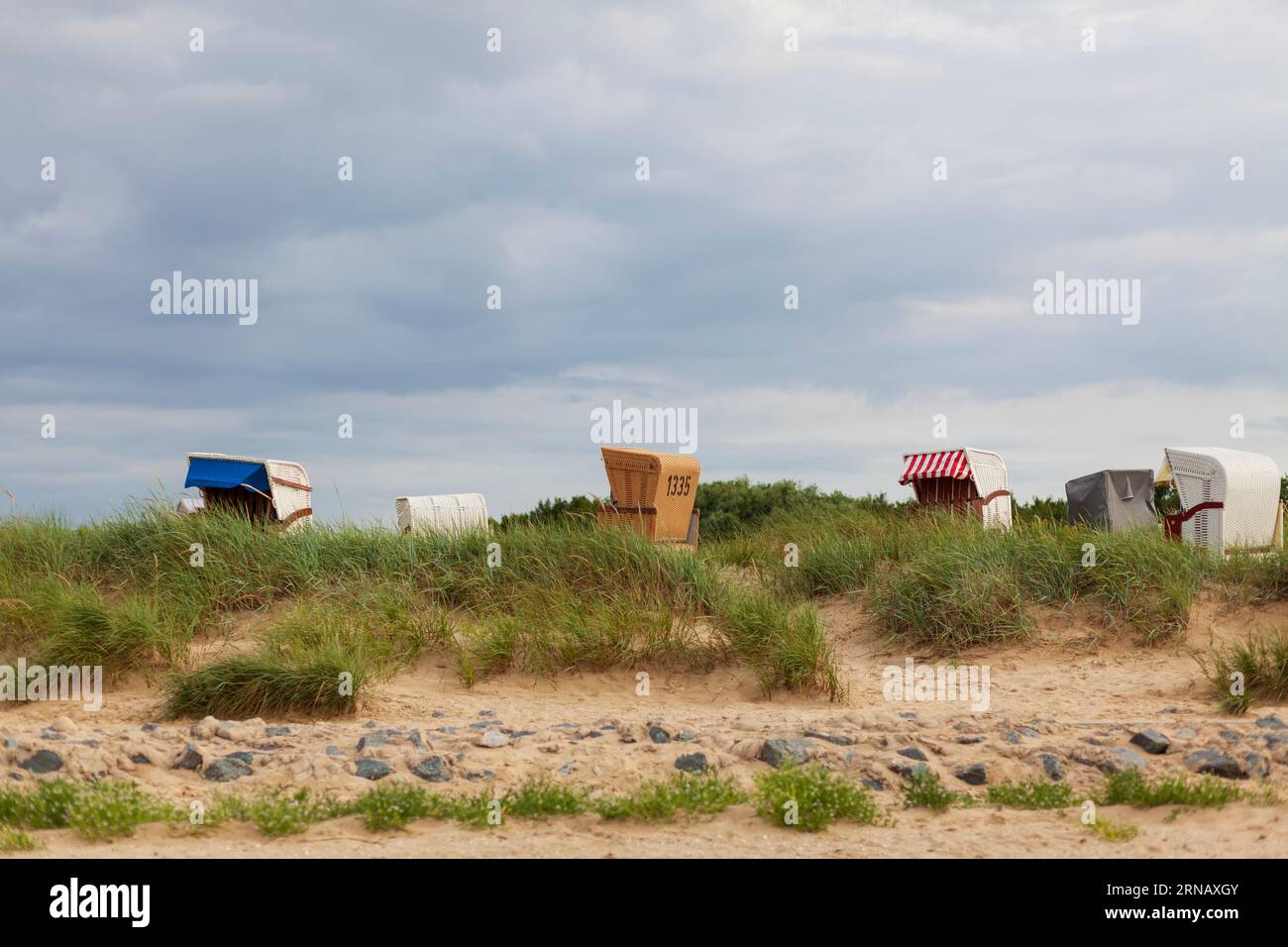 Beach cabins on the sandy shore of the North Sea in Europe overgrown ...