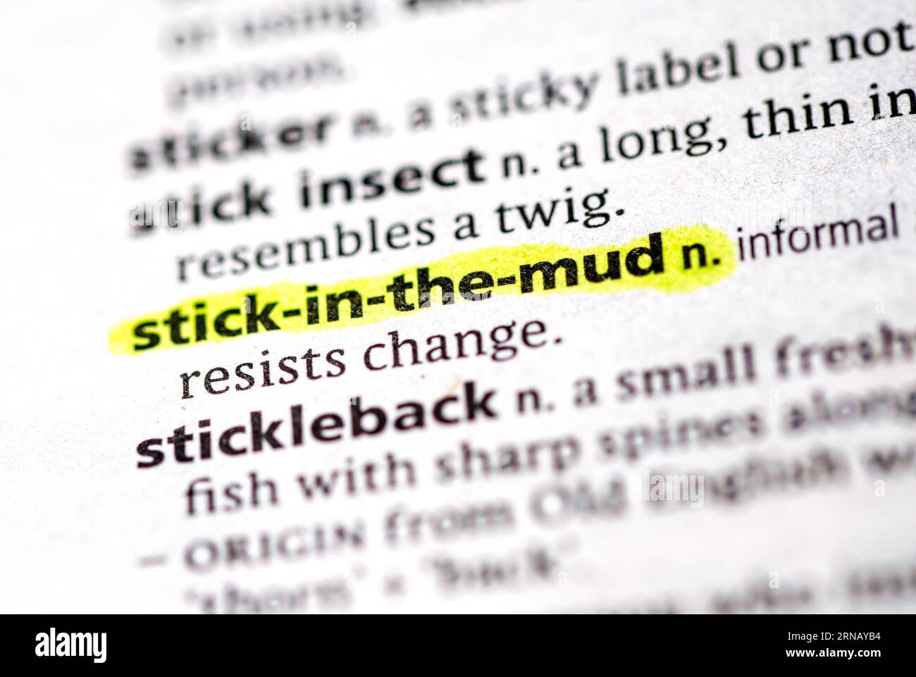 stick in the mud Stock Photo - Alamy