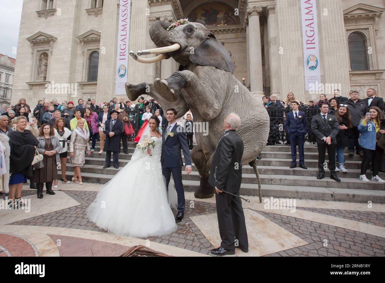 The groom, Hungarian National Circus manager Jozsef Richer Jr., and his ...