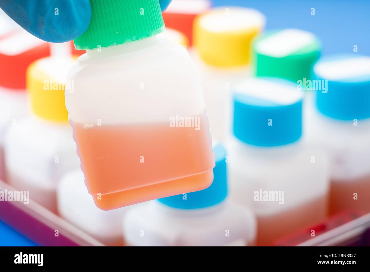 Laboratory microscope scientific analysis microorganism hi-res stock ...