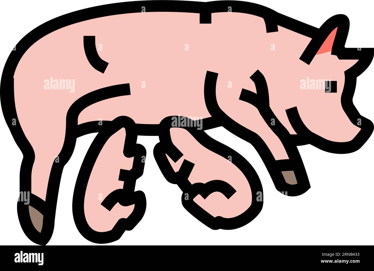 pig piglets farm color icon vector illustration Stock Vector Image ...