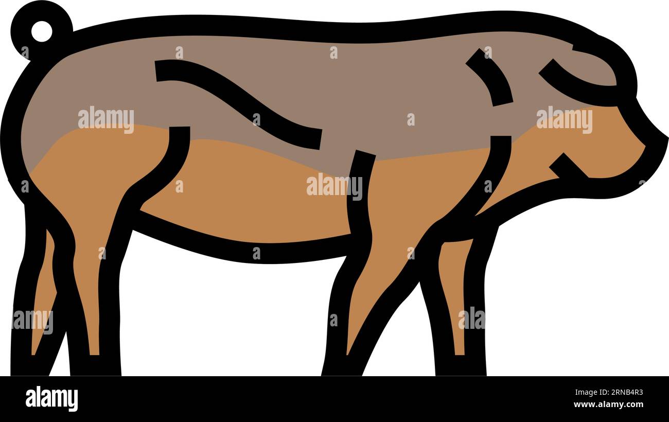 duroc pig breed color icon vector illustration Stock Vector Image & Art ...