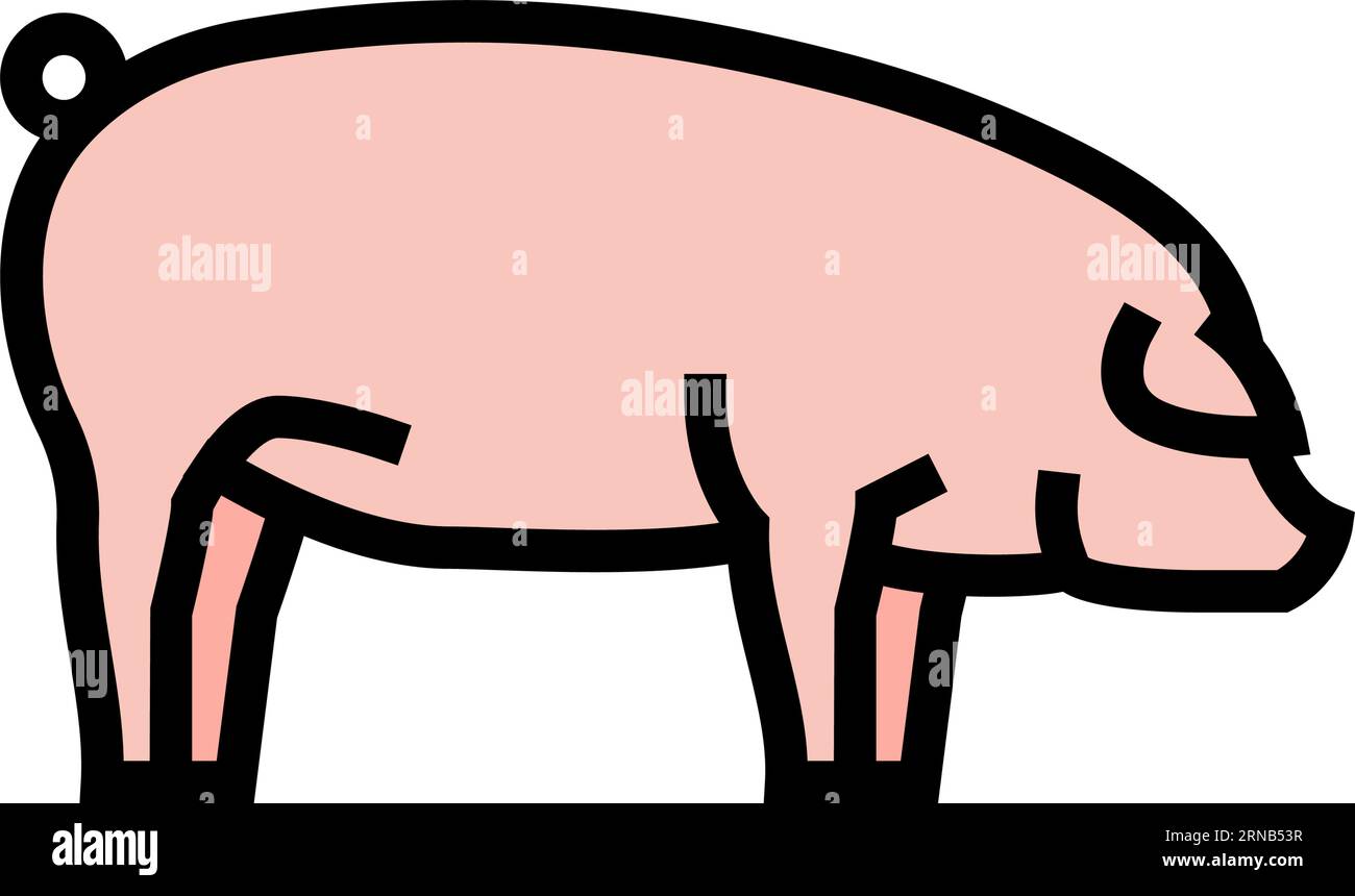 landrace pig breed color icon vector illustration Stock Vector Image ...