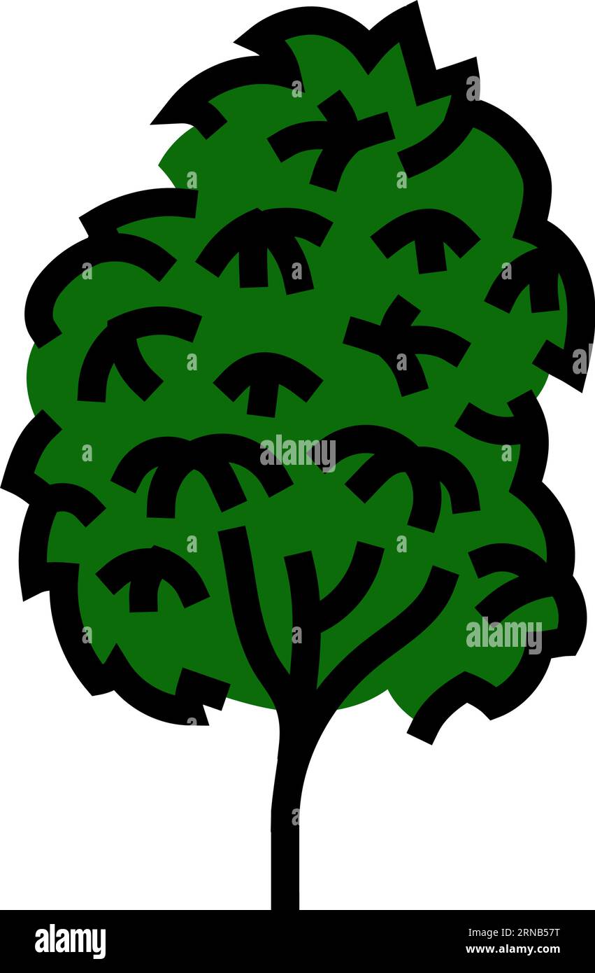 Kauri forest Cut Out Stock Images & Pictures - Alamy