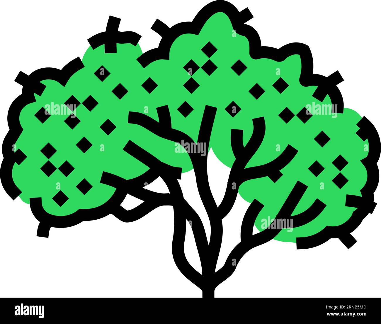 Guava tree and illustration Stock Vector Images - Alamy