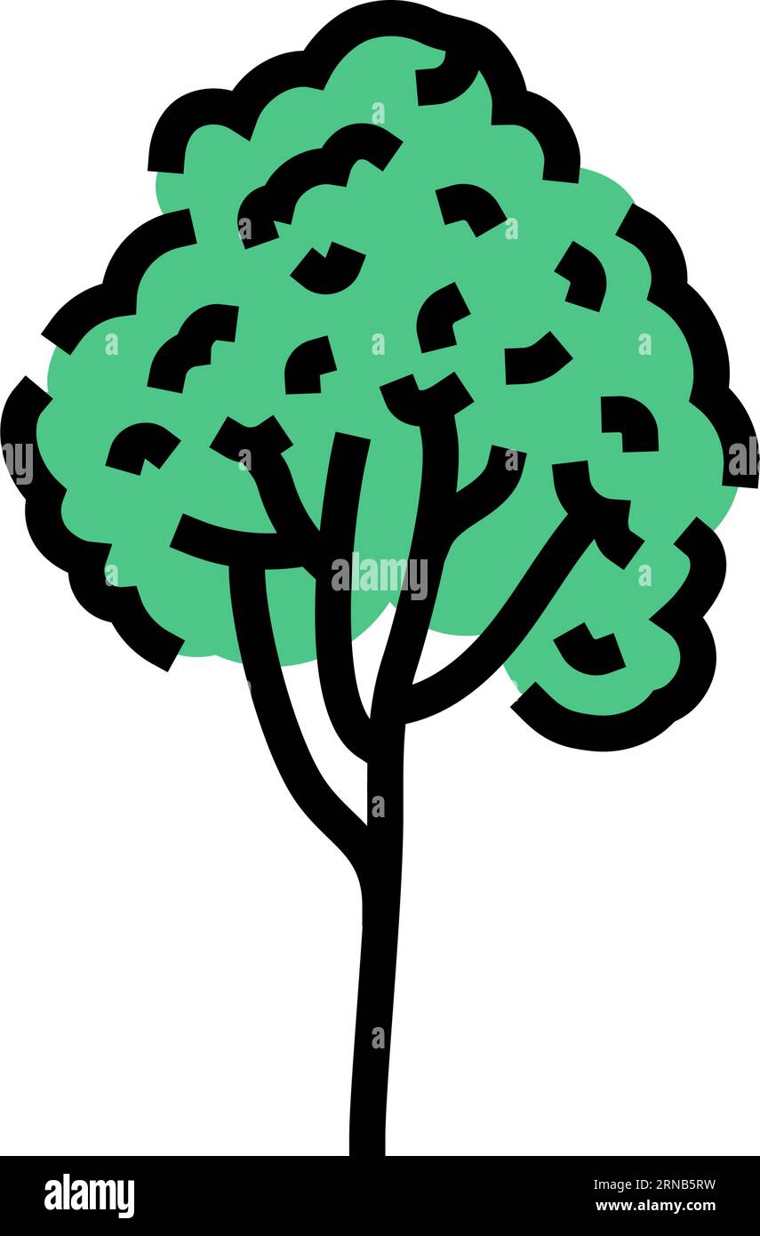 rubber tree jungle amazon color icon vector illustration Stock Vector ...