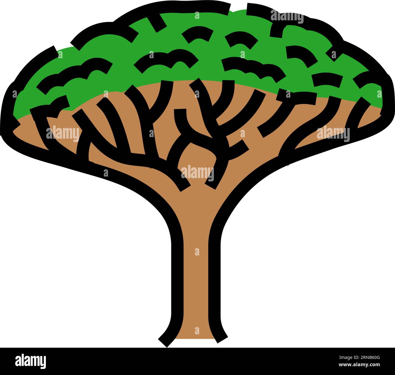 dragon blood tree color icon vector illustration Stock Vector Image ...