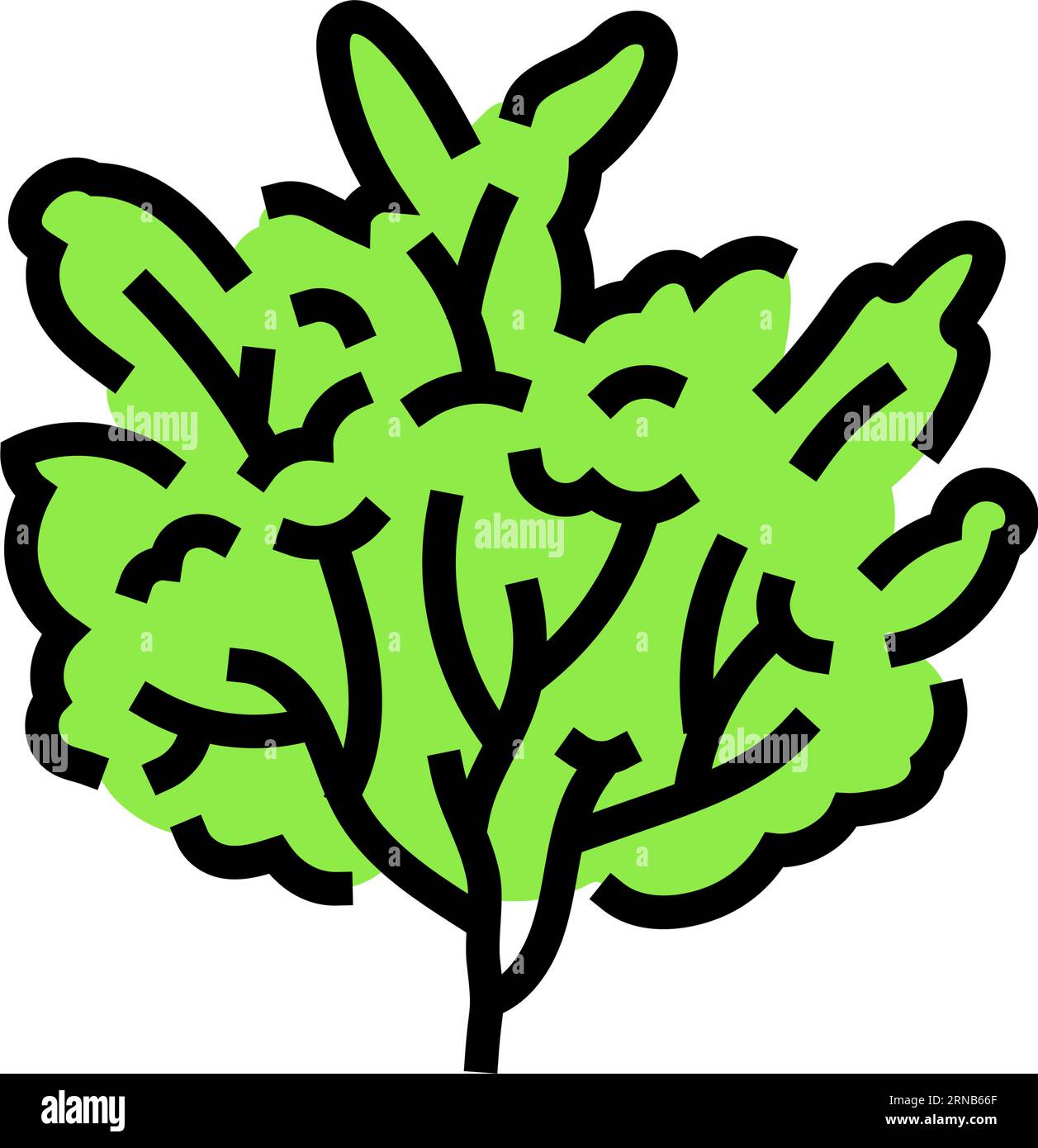 Custard apple tree Stock Vector Images - Alamy