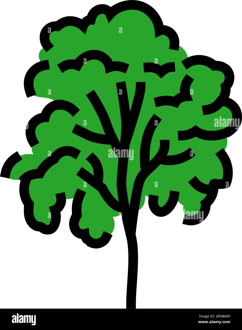 Padauk wood hi-res stock photography and images - Alamy