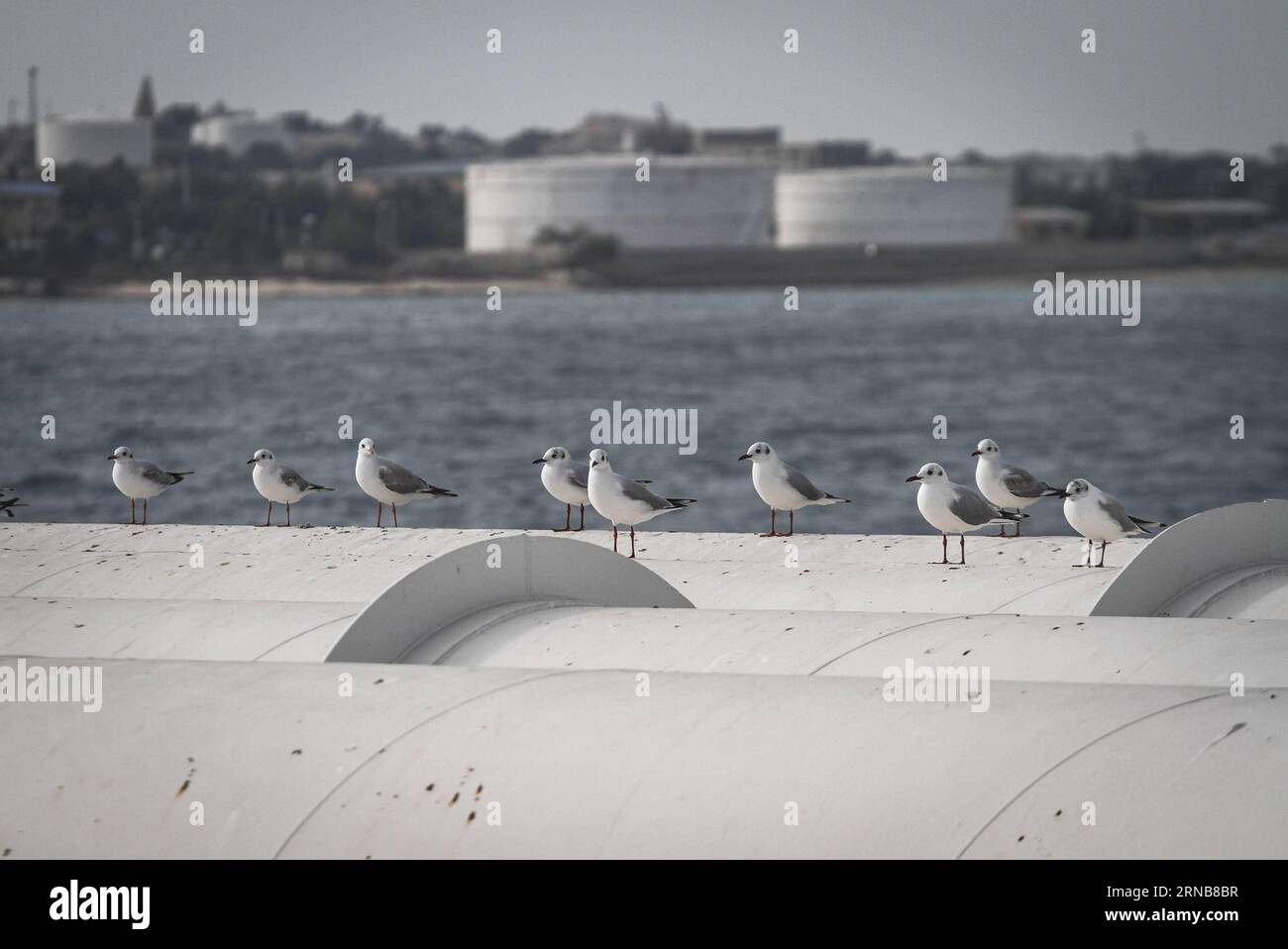 Kharg island hi-res stock photography and images - Alamy