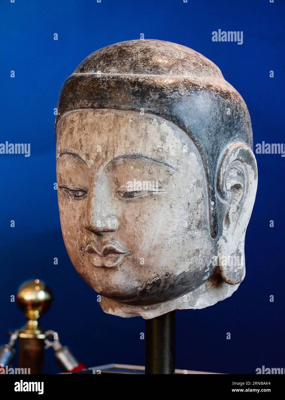 (160226) -- BEIJING, Feb. 26, 2016 -- Photo taken on Feb. 26, 2016 ...