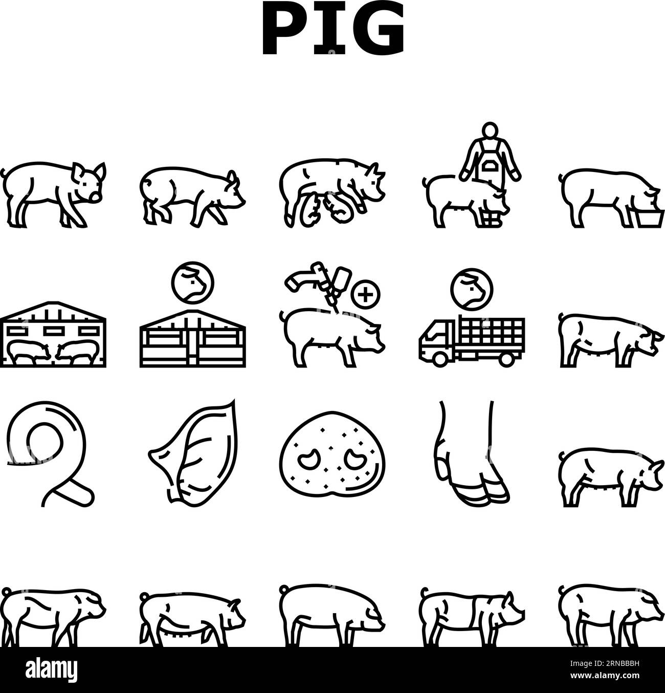 pork pig farm animal piglet hog icons set vector Stock Vector Image ...