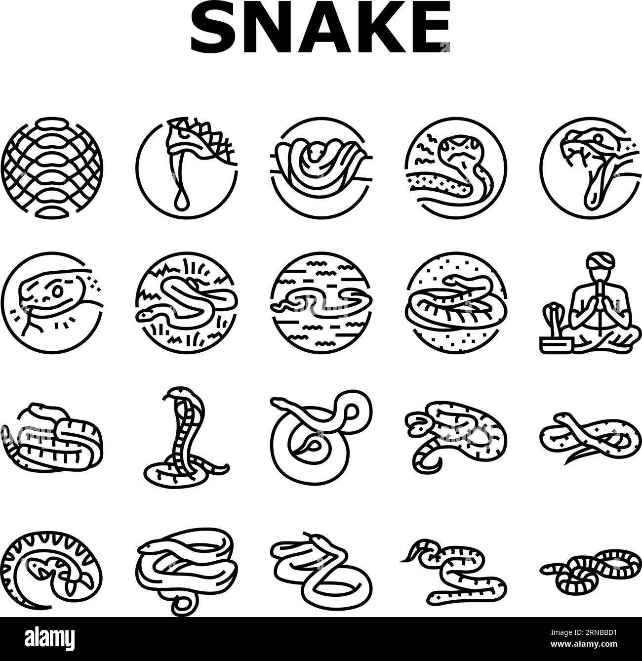 snake black serpent viper cobra icons set vector Stock Vector Image & Art - Alamy