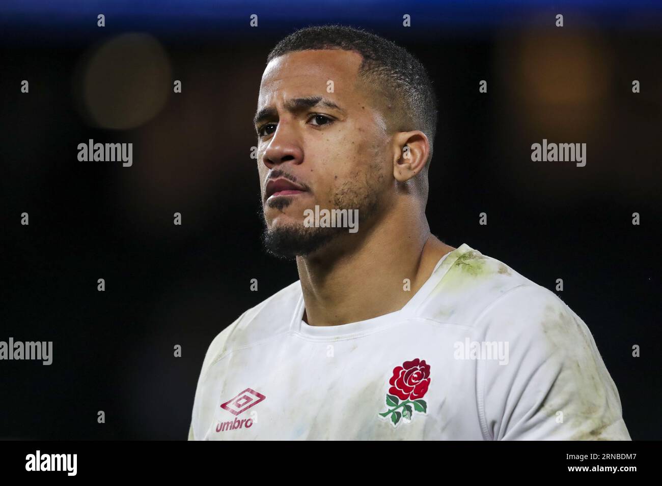 Jack kyle rugby hi-res stock photography and images - Alamy