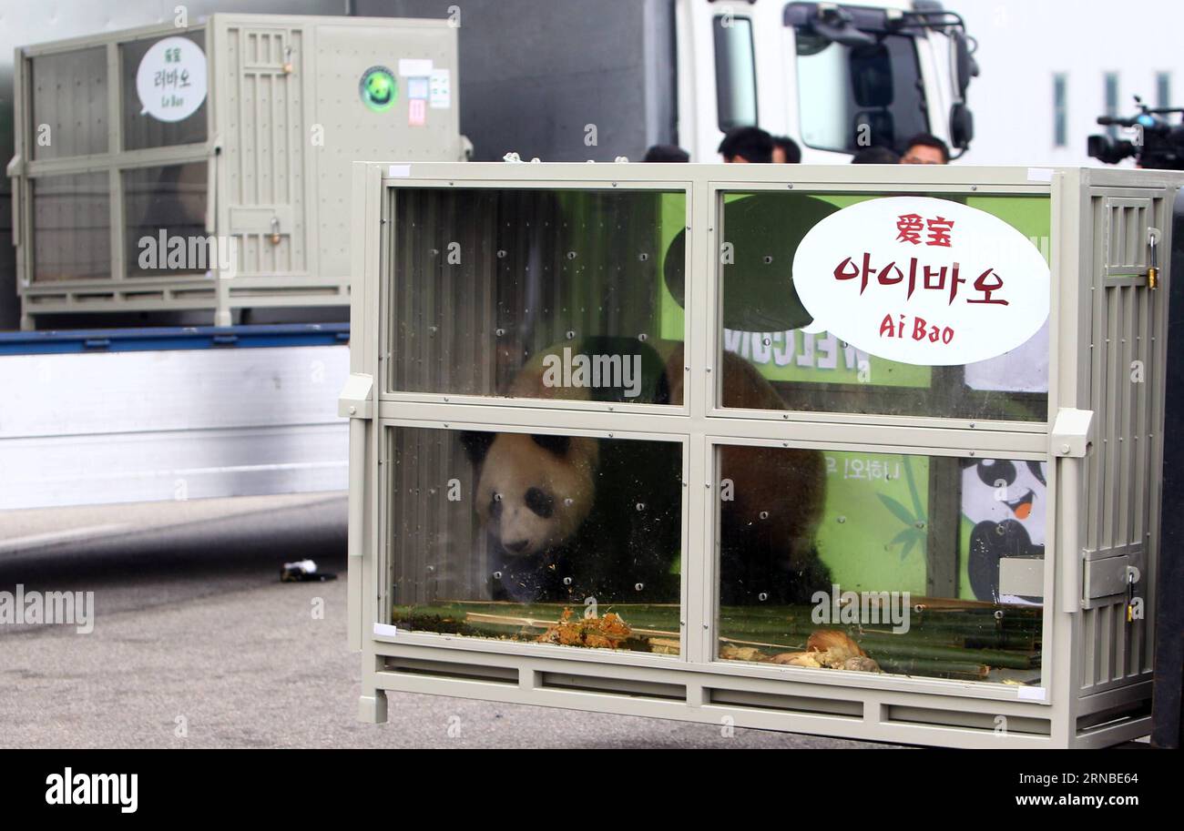 Panda marking territory hi-res stock photography and images - Alamy