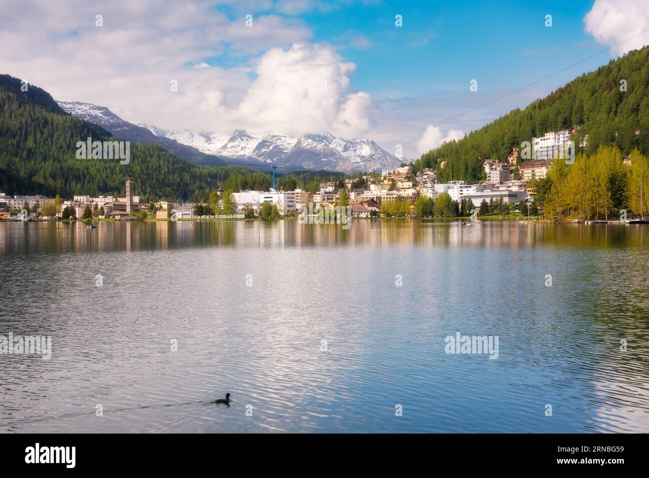 Saint Moritz lake in Switzerland in summer Stock Photo - Alamy