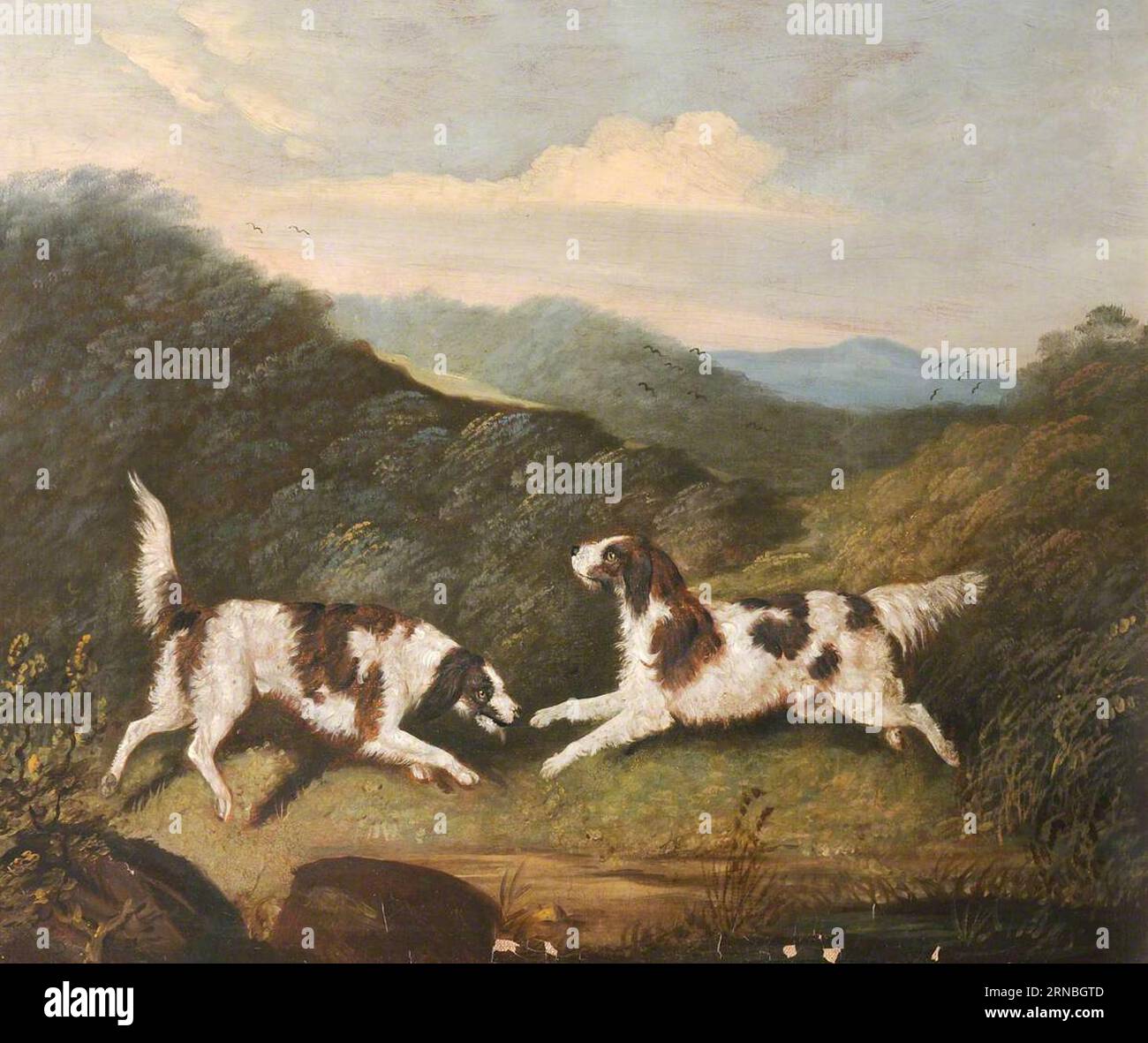 Two Springer Spaniels in a Landscape 1811 by Clifton Tomson Stock Photo ...