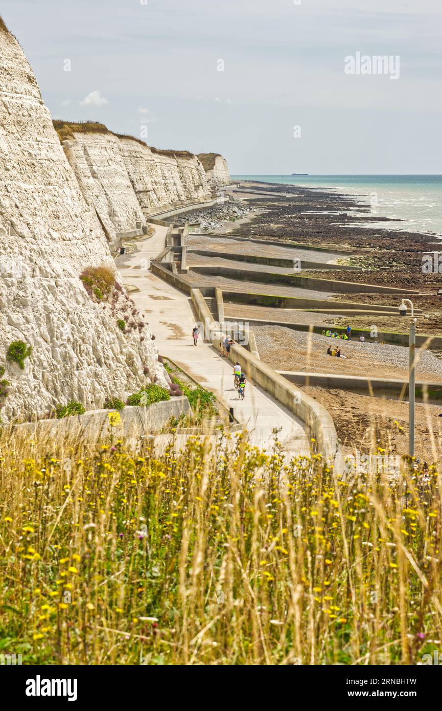 Chalk cliffs and undercliff path between Brighton and Rottingdean in ...
