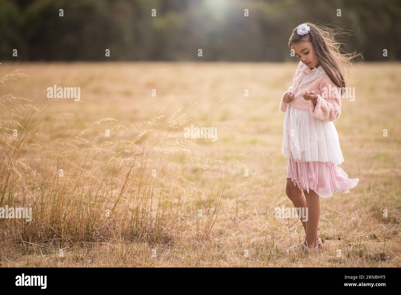 little girl in pink dress playing with weed in field at golden hour ...