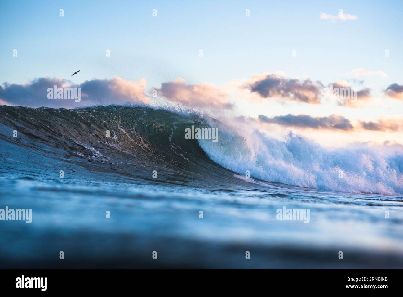 New england ocean wave hi-res stock photography and images - Alamy