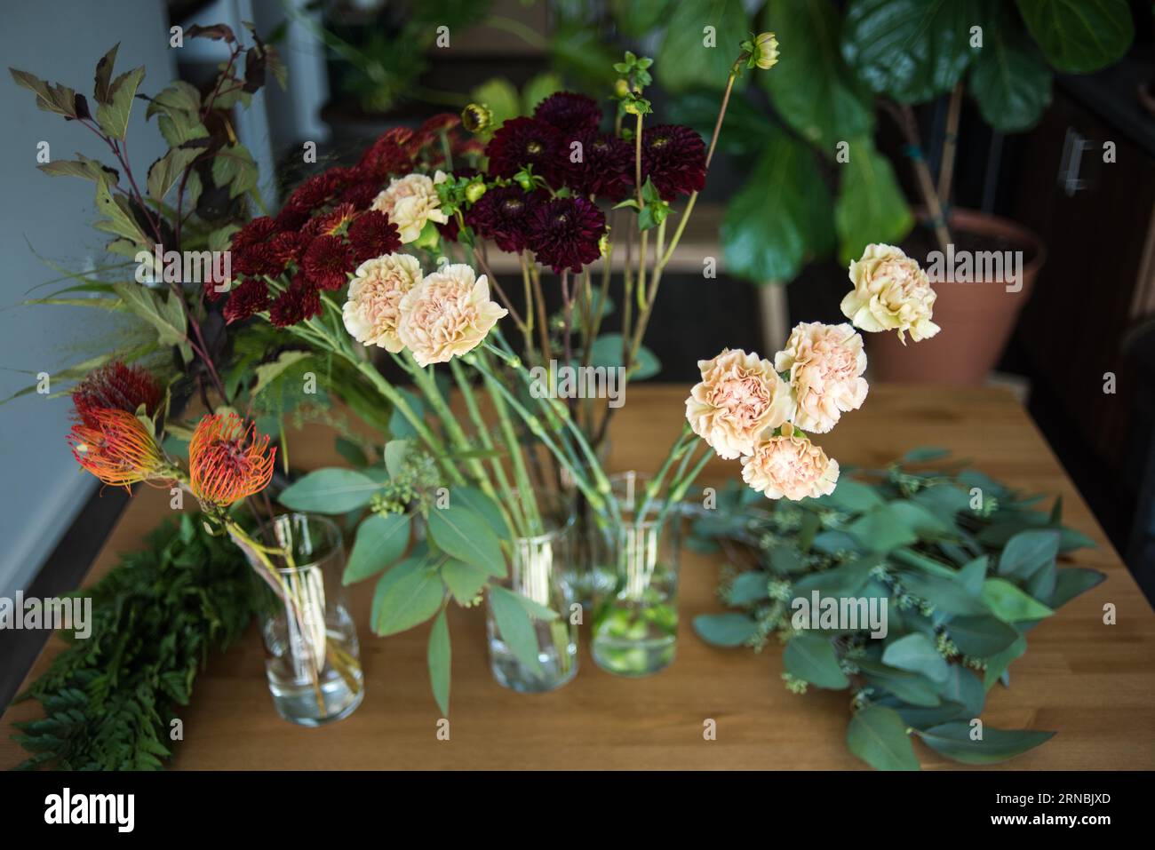 Protea flower water hi-res stock photography and images - Alamy