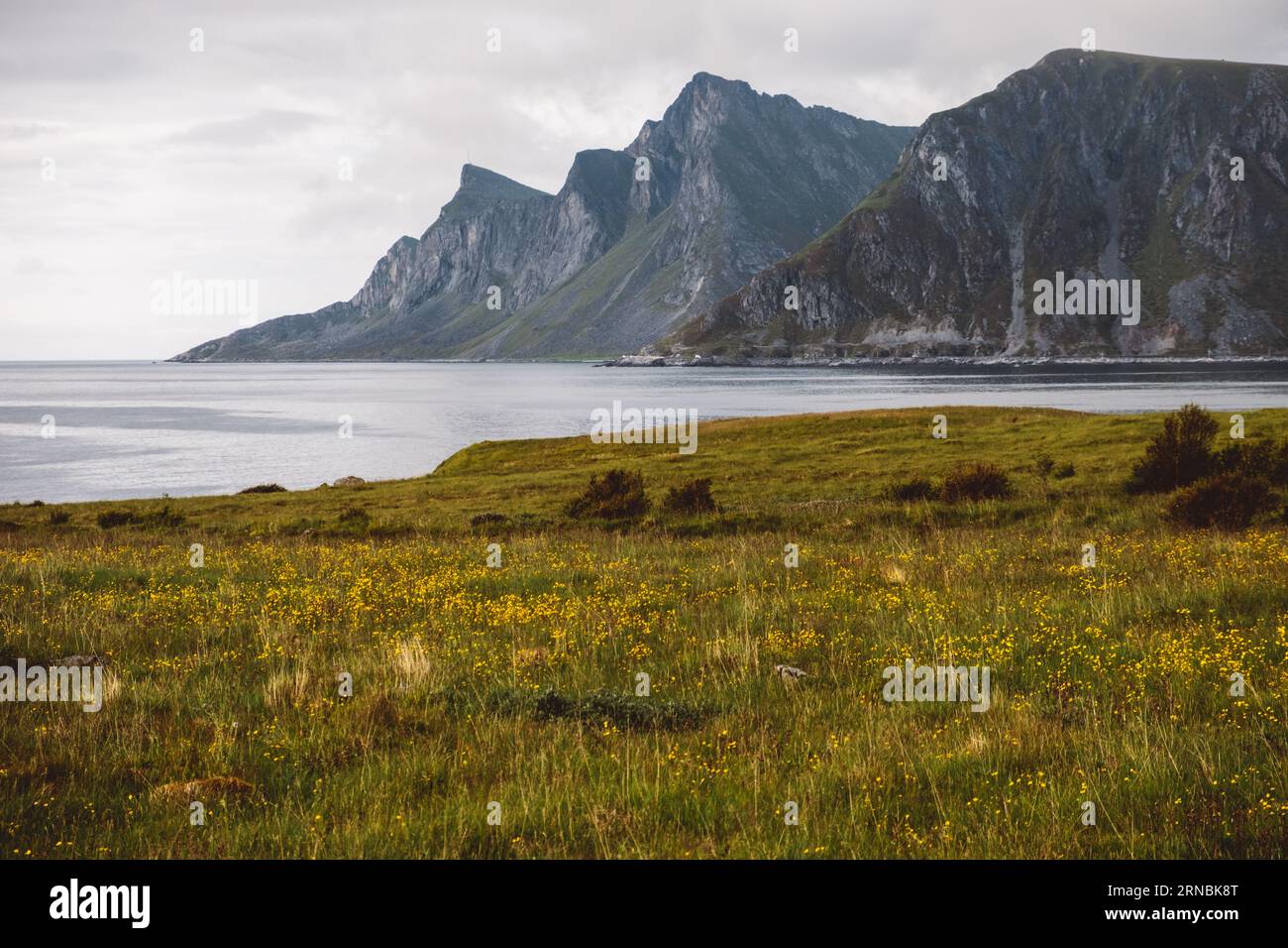 Scenic view of the fields in Norway with the mountains in the backgrou ...
