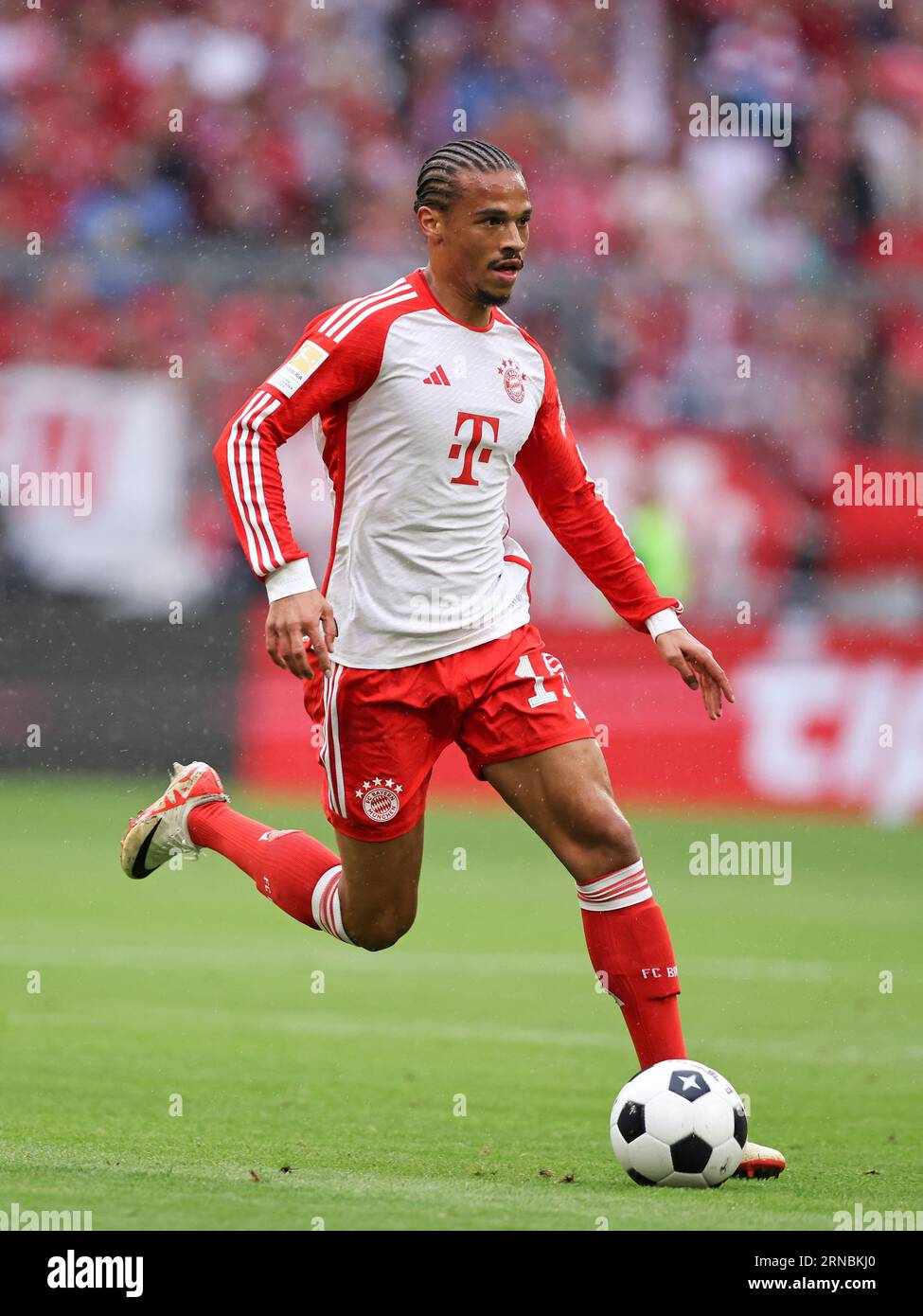 Leroy Sane of Bayern Muenchen FC Bayern München - FC Augsburg 27.8.2023 ...