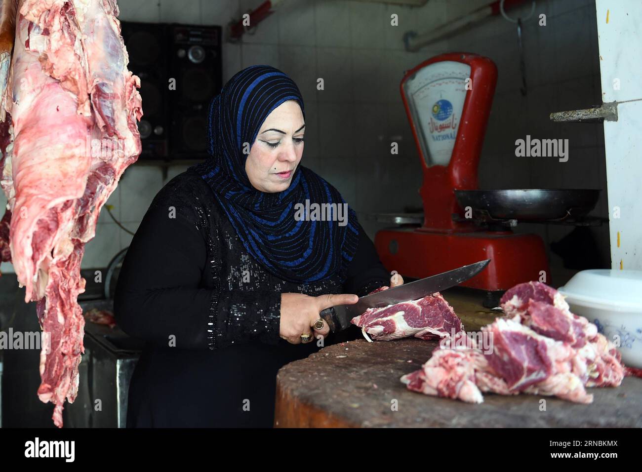 Ofcamel hi-res stock photography and images - Alamy