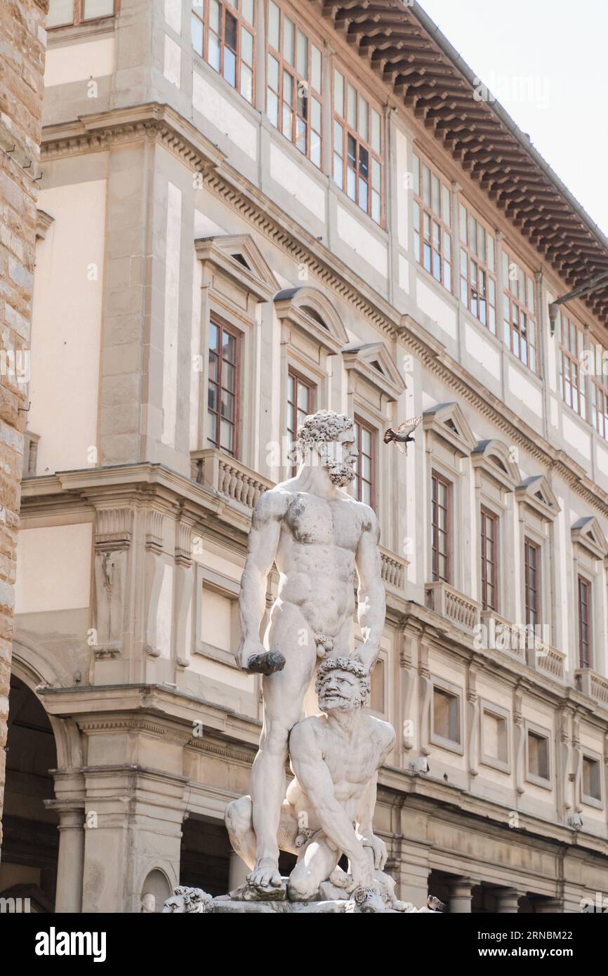Sculpture David Defeating Cacus, Palazzo Vecchio, Florence Stock Photo ...