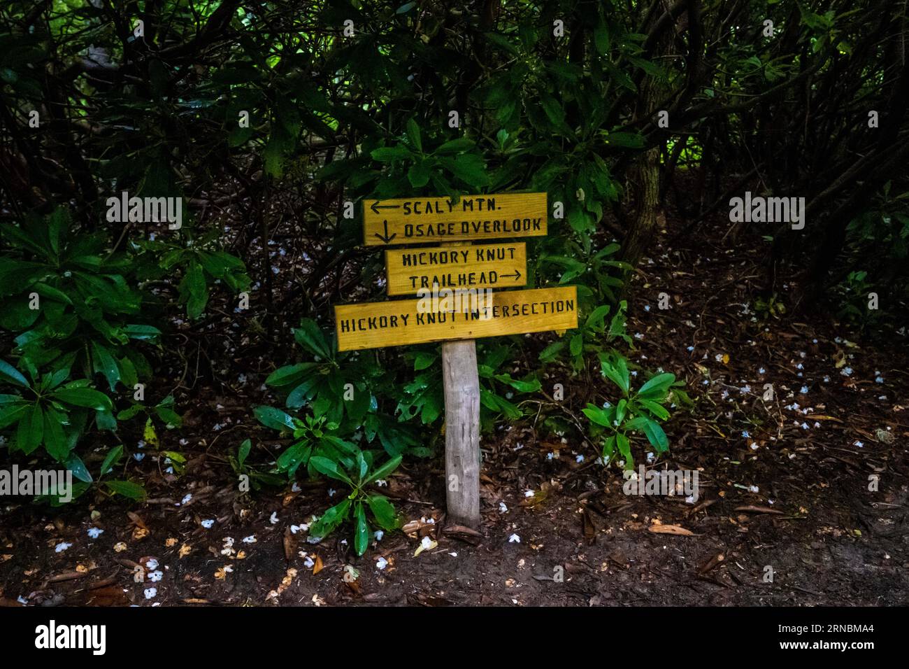 A description board for the trail in Highlands, North Carolina Stock ...