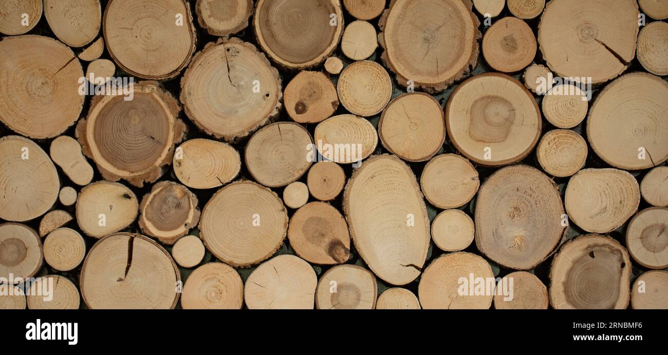 Textured Elegance: Exploring Decorative Wood Grain in Cross-Sections ...