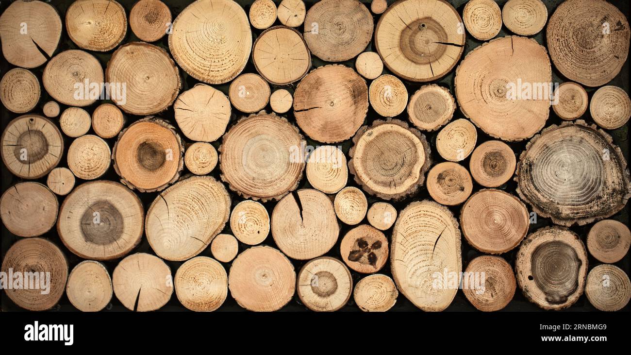 Wooden Aesthetics: Showcasing Decorative Textures in Timber Cuts Stock ...