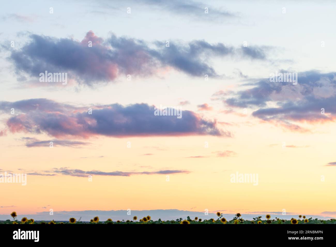 Nature's Transition: Blue Evening Sky Touched by Vivid Orange Stock ...