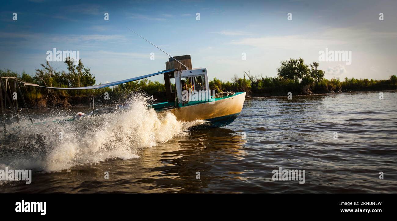 Swamp fishing louisiana hi-res stock photography and images - Alamy