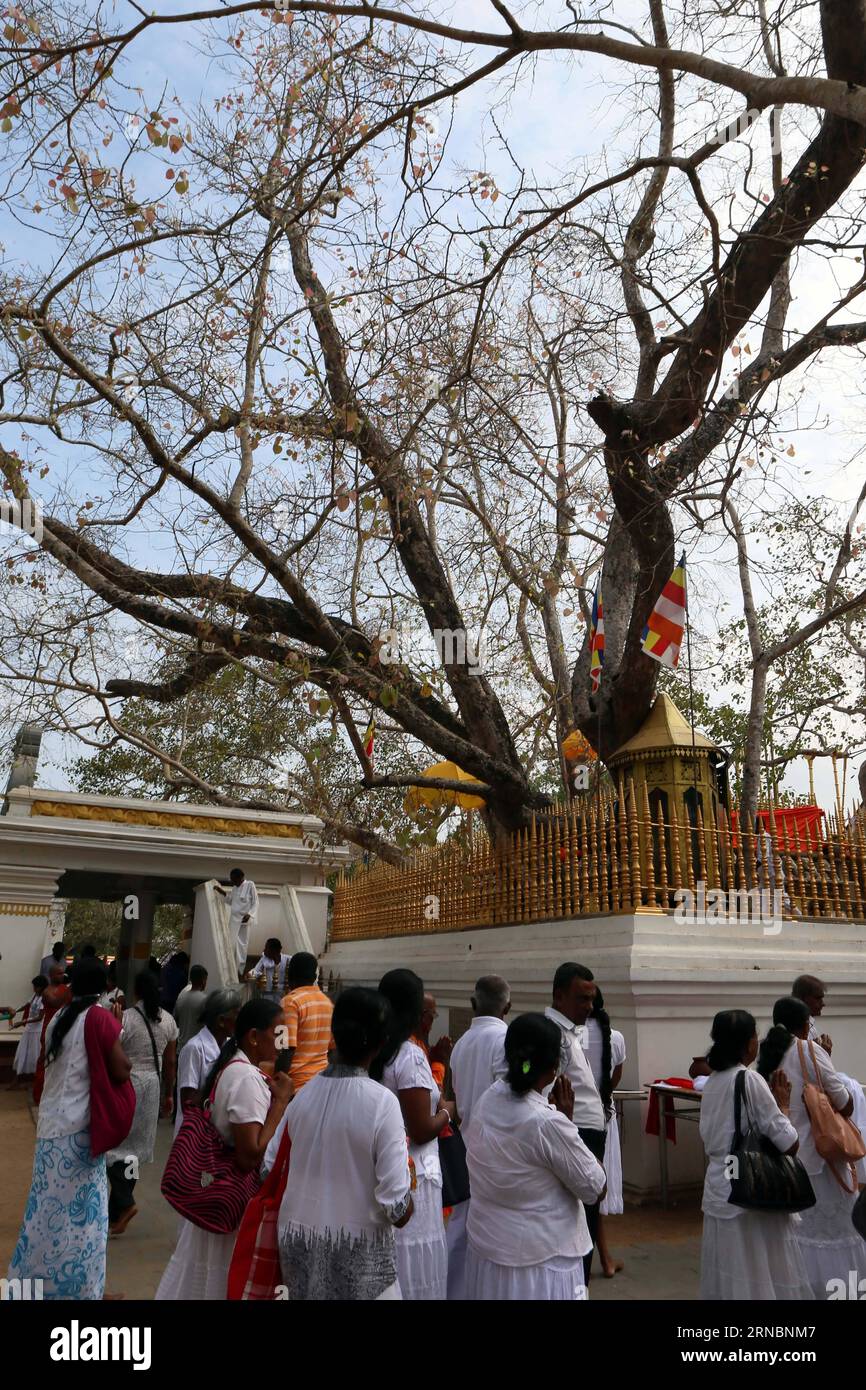 COLOMBO, March 9, 2016 -- Sri Lankan Buddhists offer prayers at the Sri ...