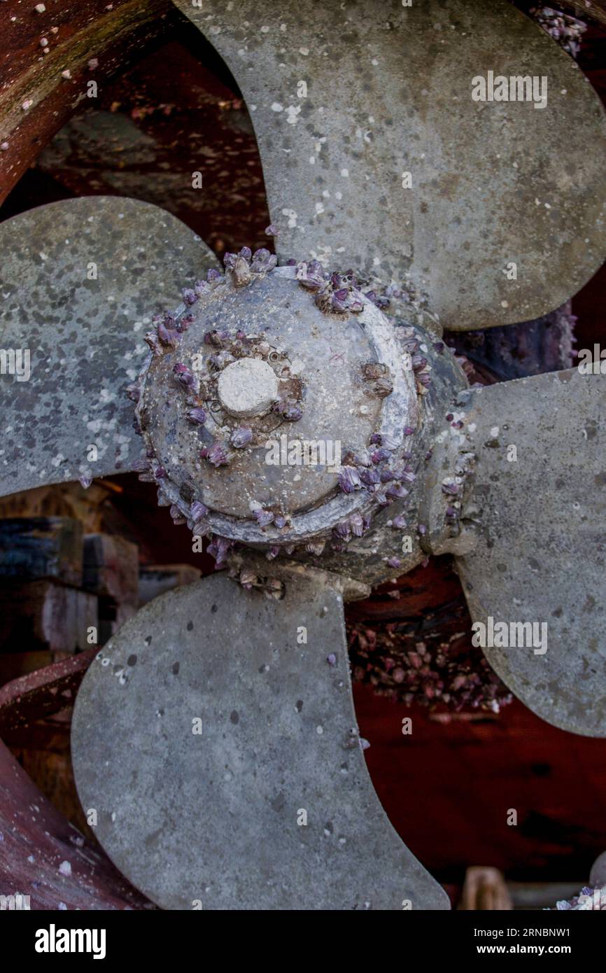 Ship maintenance in shipyard in Florida Stock Photo - Alamy