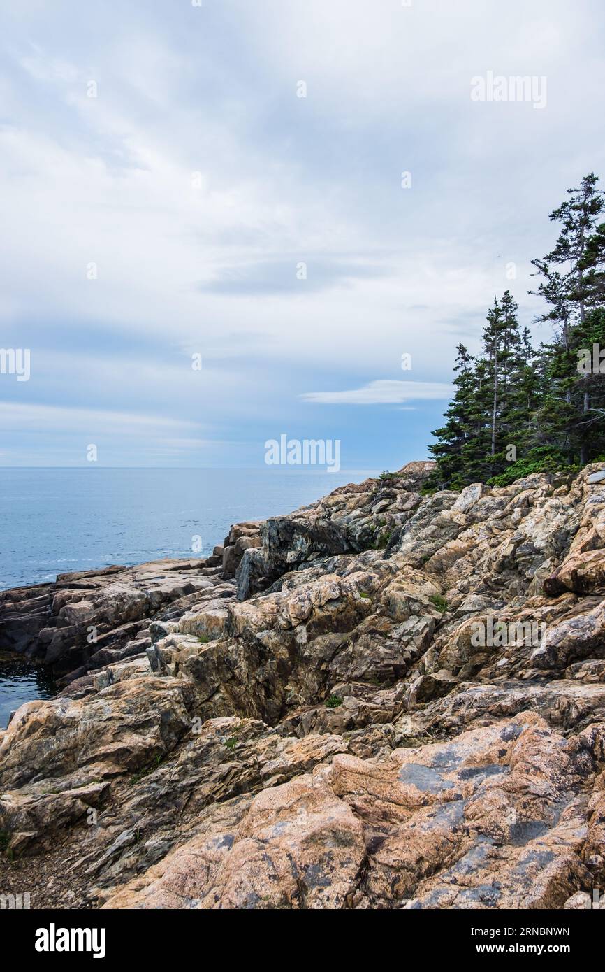 Otter Point in Acadia National Park in Maine Stock Photo - Alamy