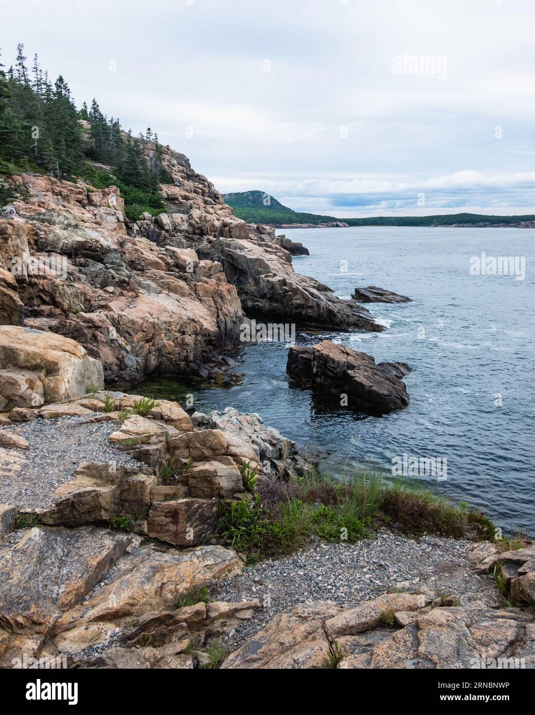 Otter Point in Acadia National Park in Maine Stock Photo - Alamy