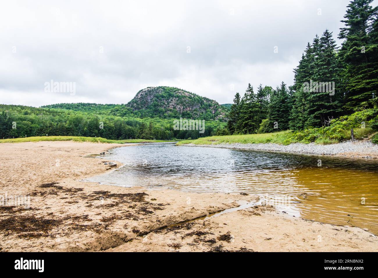 Sand Beach in Acadia National Park in Maine Stock Photo - Alamy
