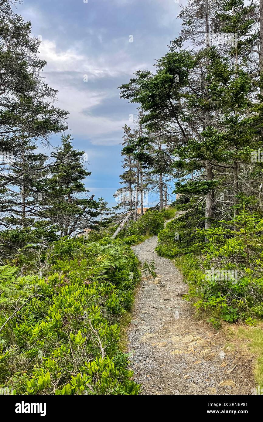 Otter Point in Acadia National Park in Maine Stock Photo - Alamy